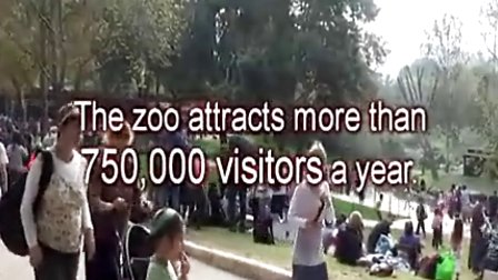 《A Day At The Zoo》-高清电影-完整版在线观看